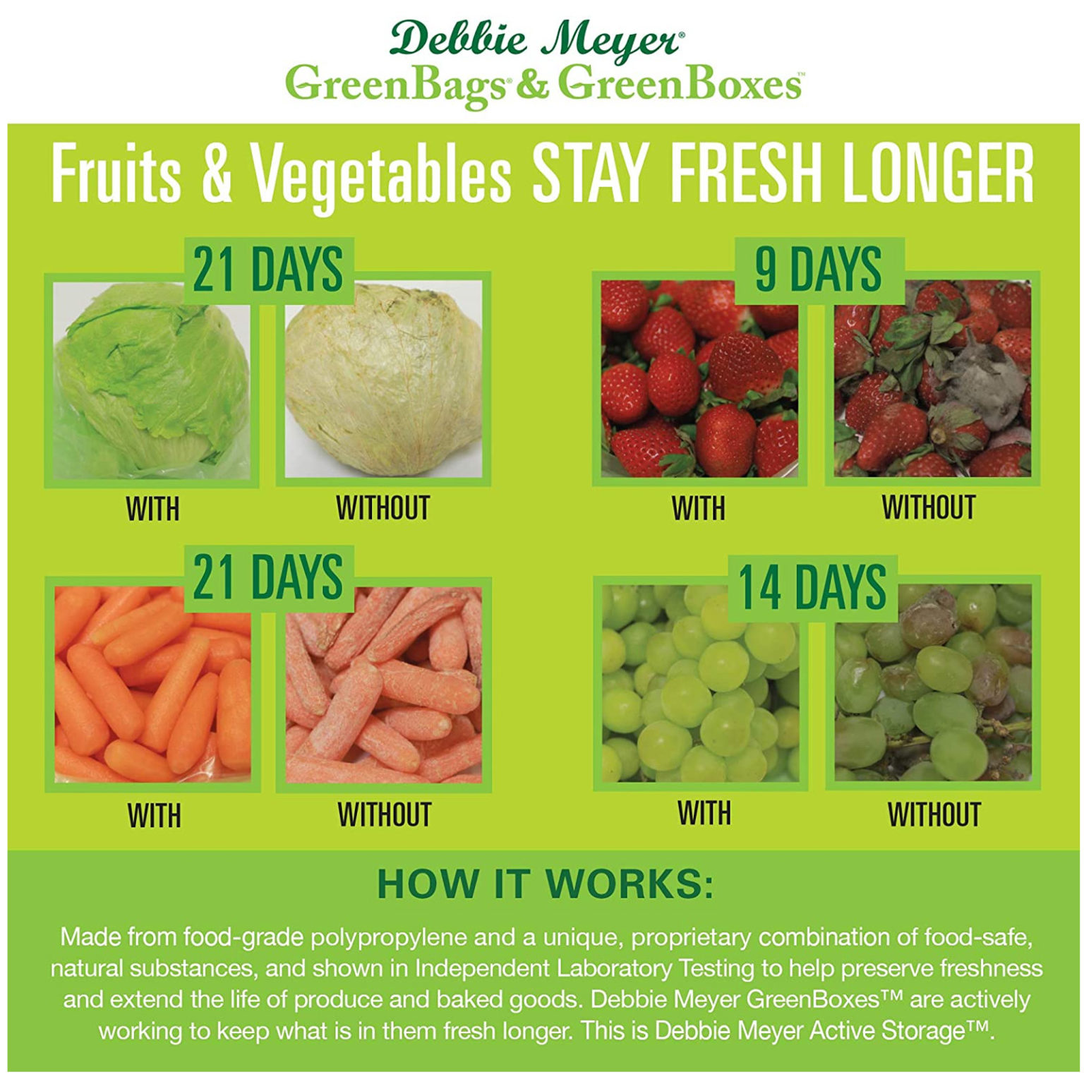 DEBBIE MAYER GREEN CONTAINERS 66 pcs | Best Of As Seen On TV